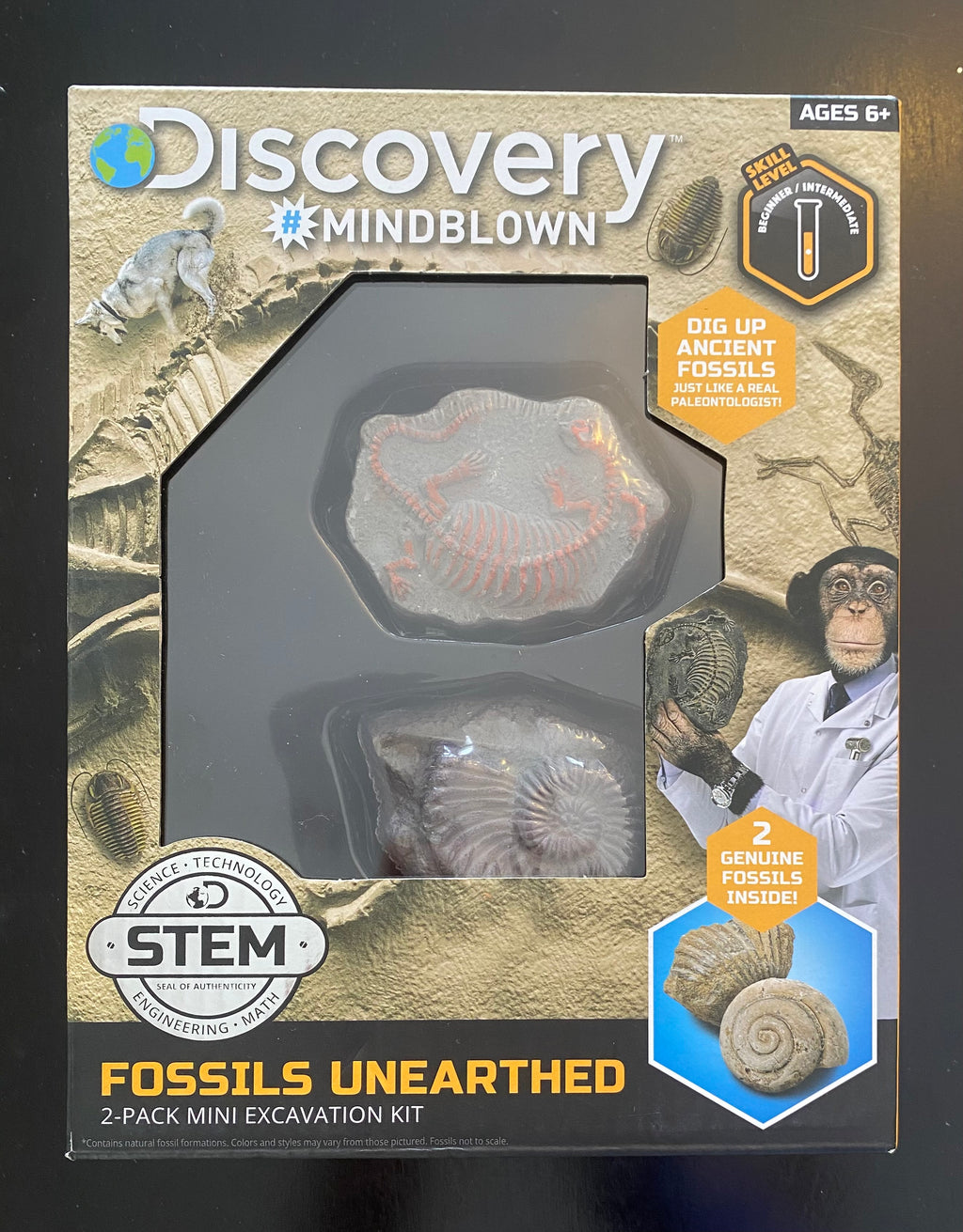 Discovery Fossils Unearthed - New In Box – Ricochet Kids